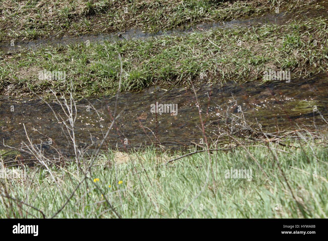 Moving through grass hi-res stock photography and images - Alamy