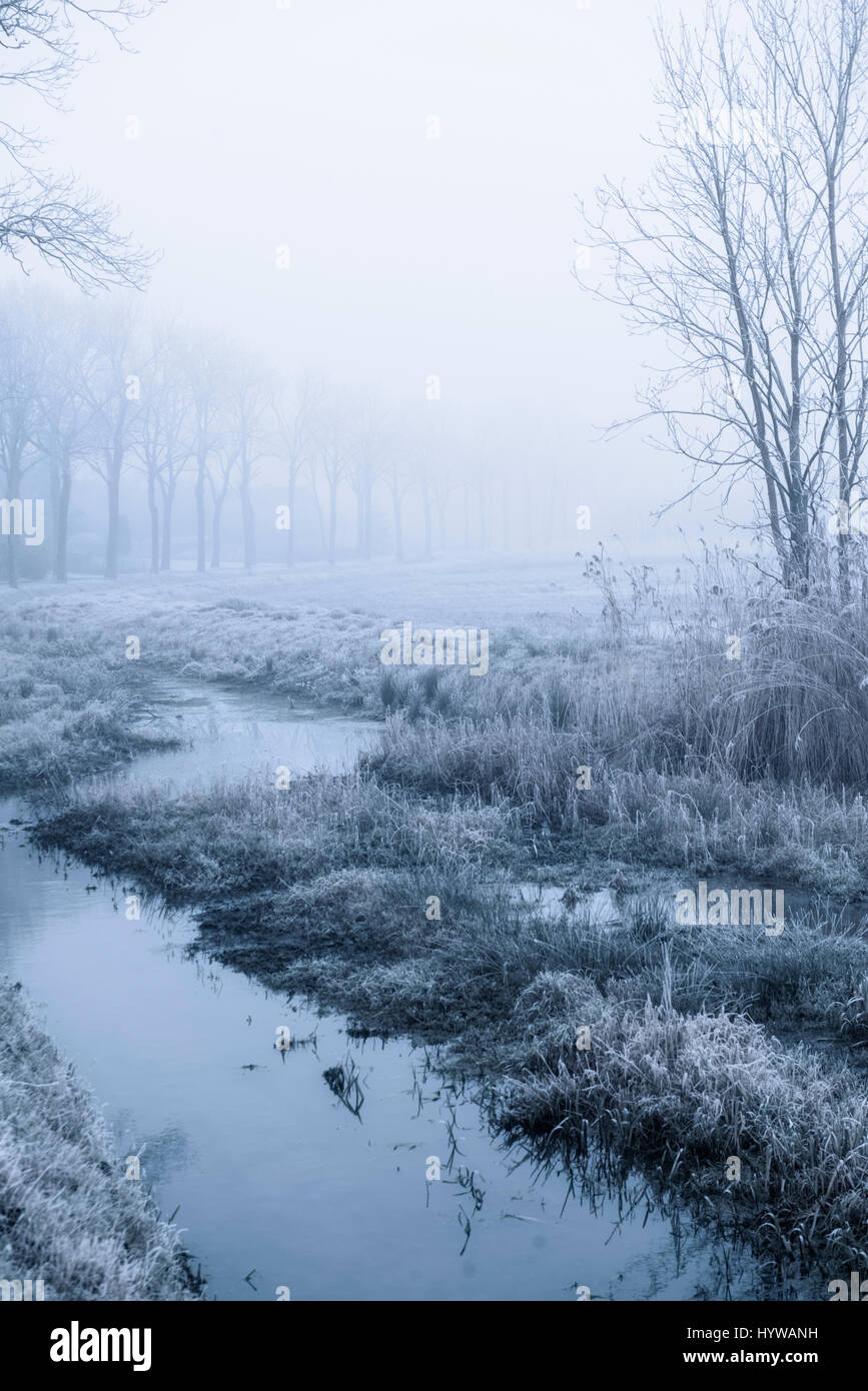 Atmospheric winter landscape in the Netherlands Stock Photo - Alamy