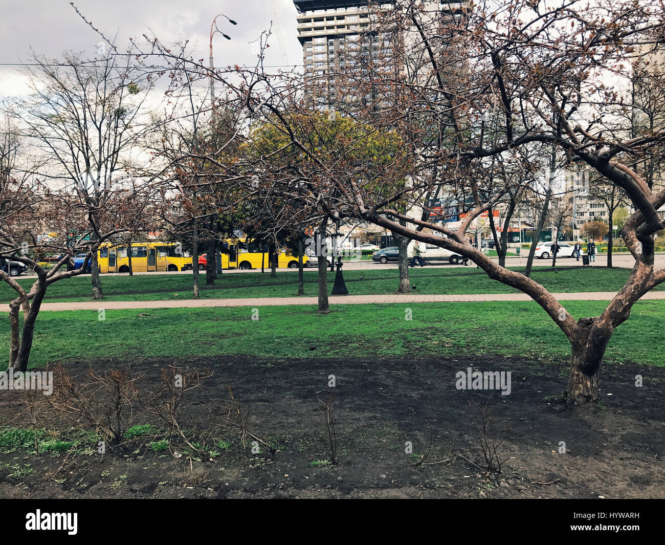 Urban road with green trees city street park background Stock Photo - Alamy