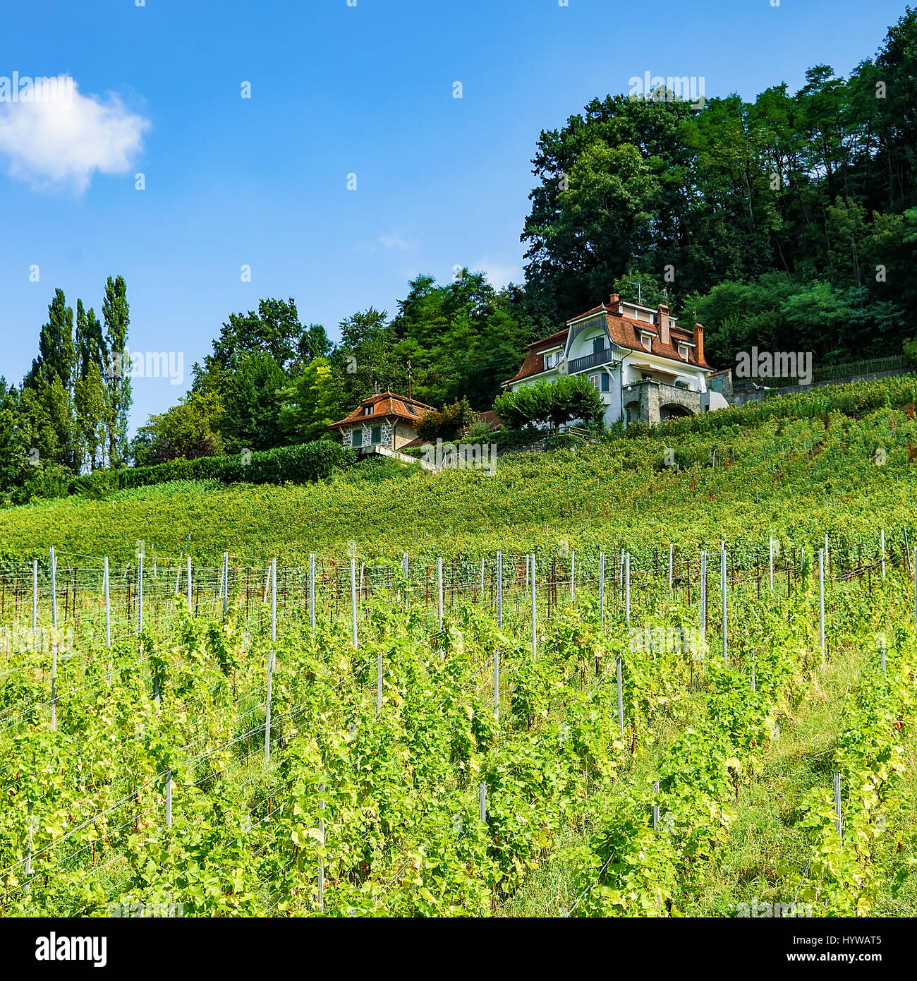 Chalet near Lavaux Vineyard Terraces hiking trail, Lavaux-Oron district ...