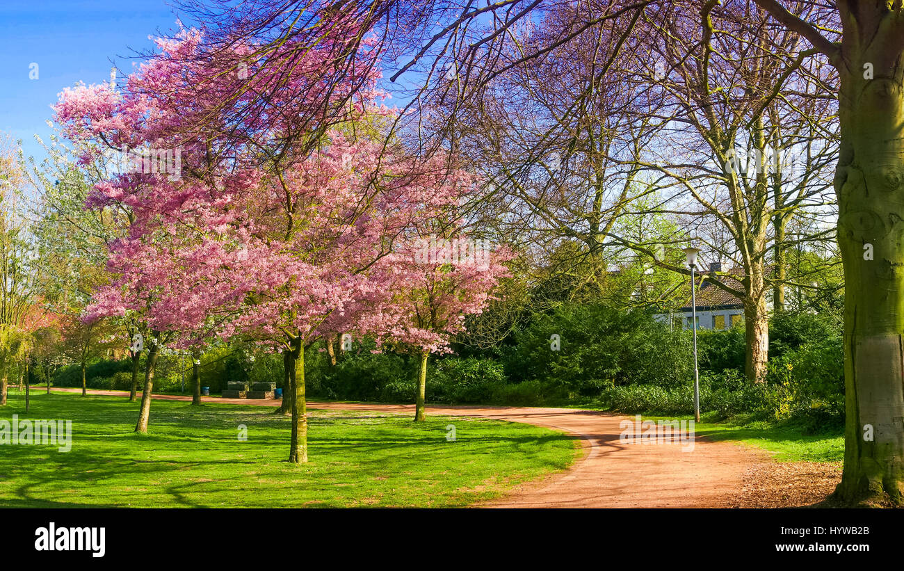 beautiful Spring background Stock Photo - Alamy