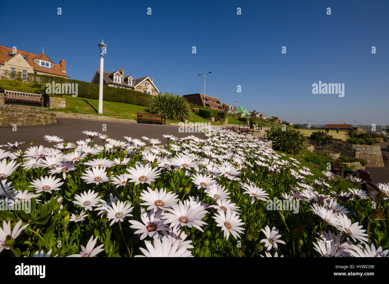 Greenhill gardens hi-res stock photography and images - Alamy