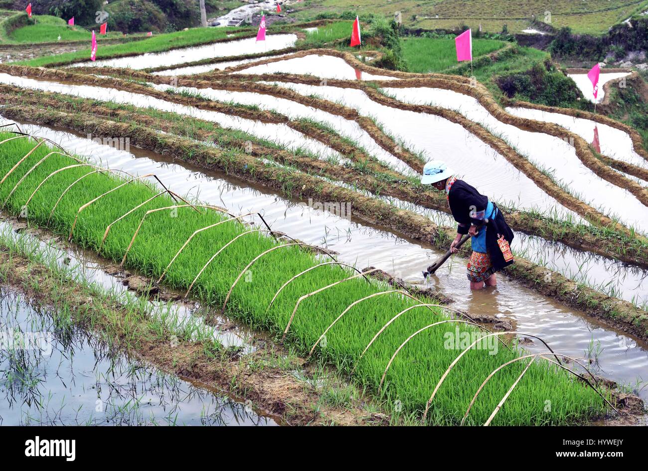 Gantang hi-res stock photography and images - Alamy