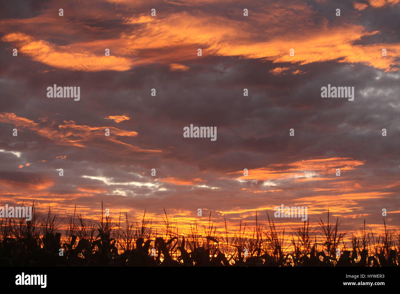 Central west region brazil hi-res stock photography and images - Alamy