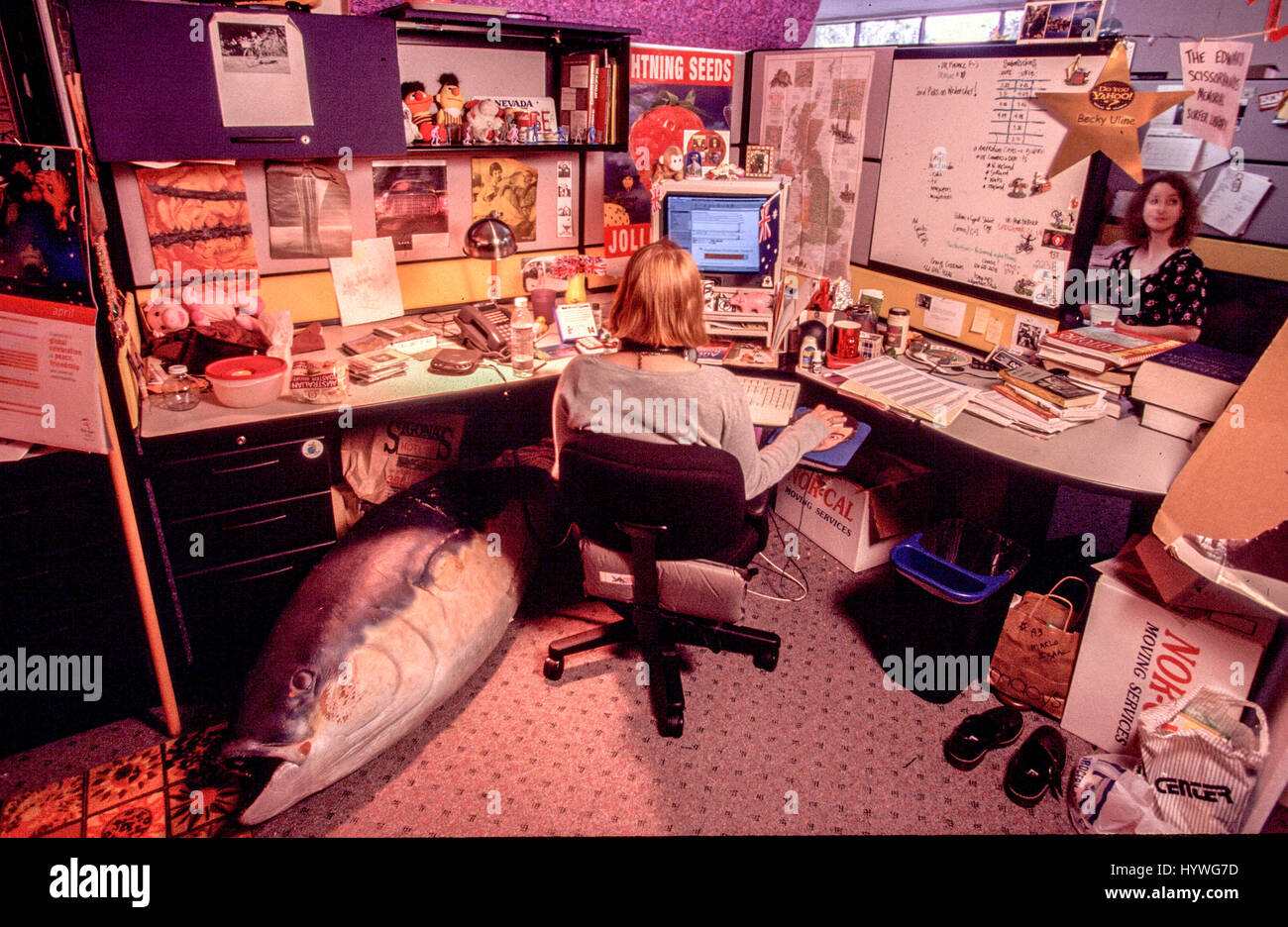 Jerry mayer hi-res stock photography and images - Alamy