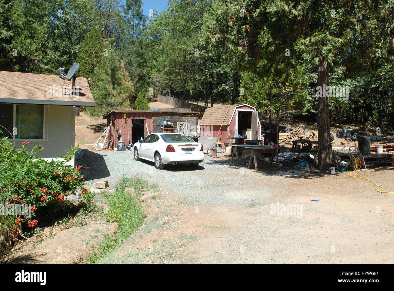 Investigators search hi-res stock photography and images - Alamy