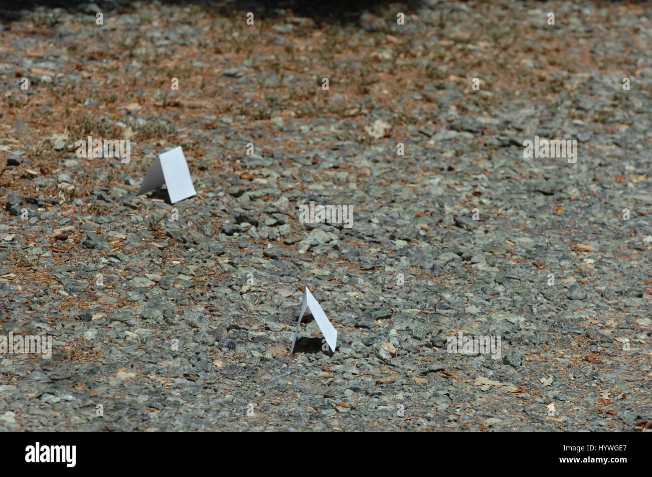 July 24, 2008 - El Dorado County sheriff's investigators mark evidence ...