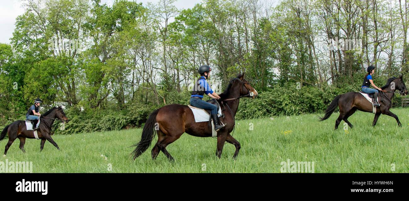 Lexington, Kentucky, USA. 25th Apr, 2017. Students in the jockey ...