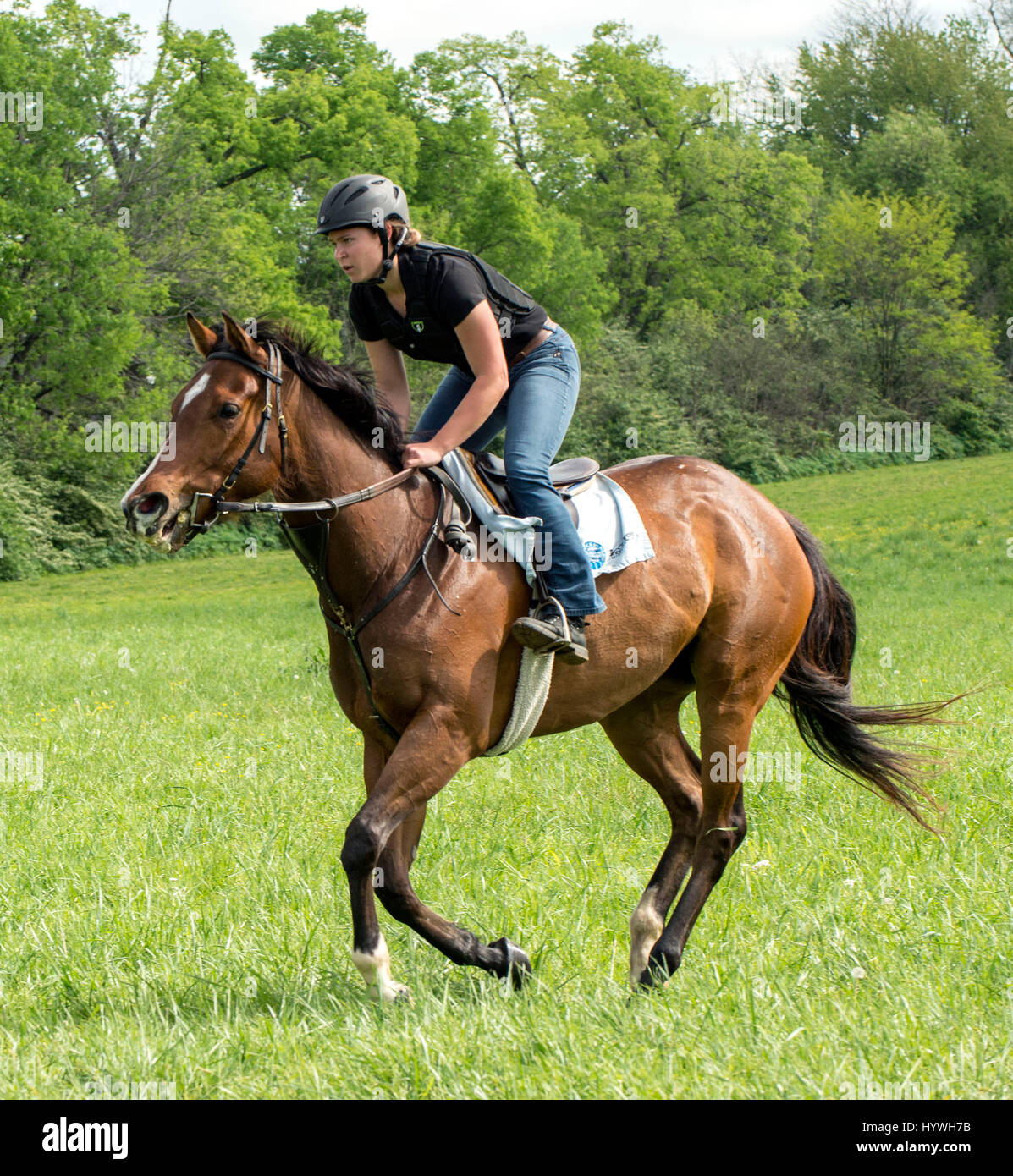 Lexington, Kentucky, USA. 25th Apr, 2017. PRISCILLA SCHAEFER, a student ...