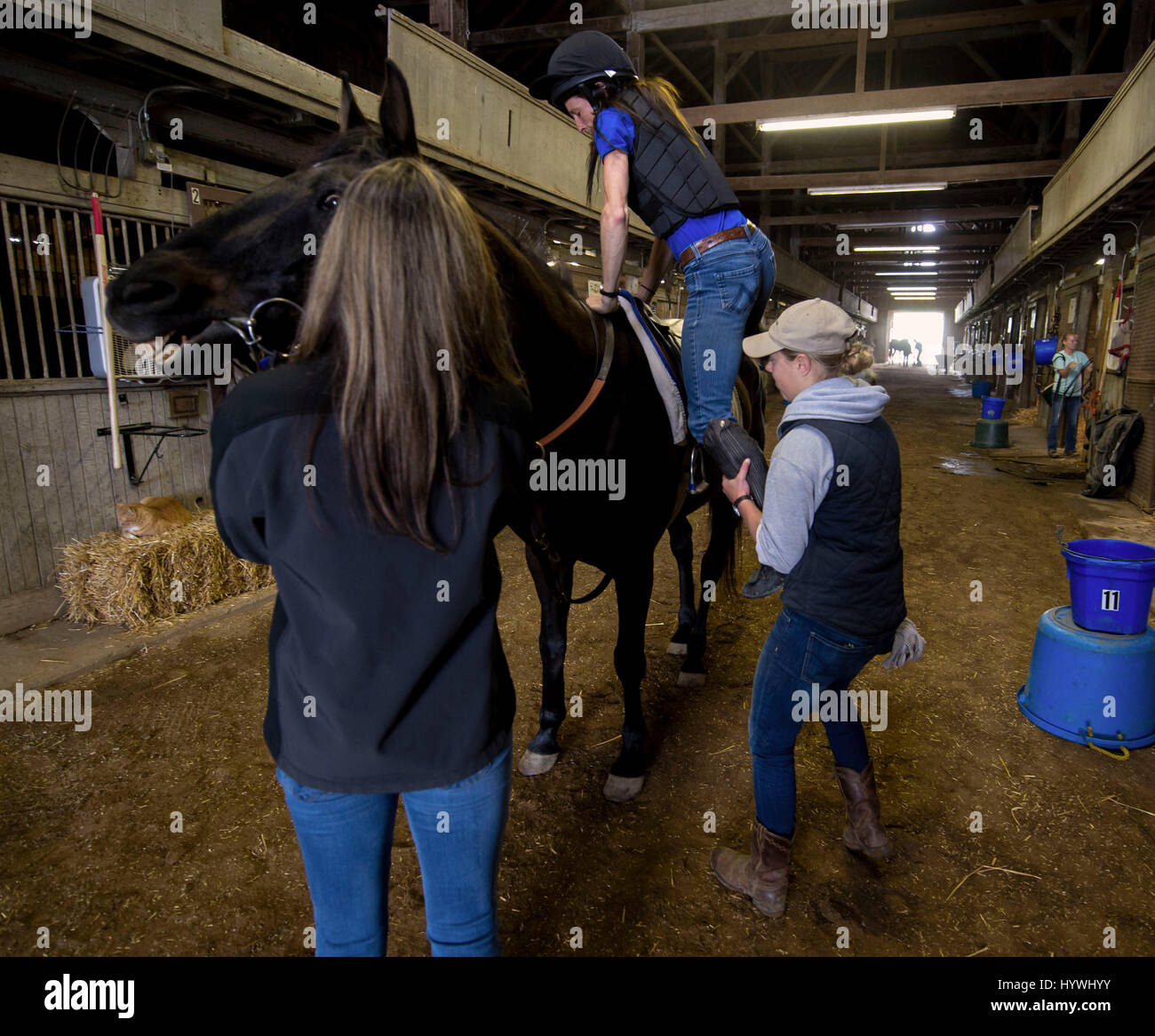 American racehorses hi-res stock photography and images - Alamy