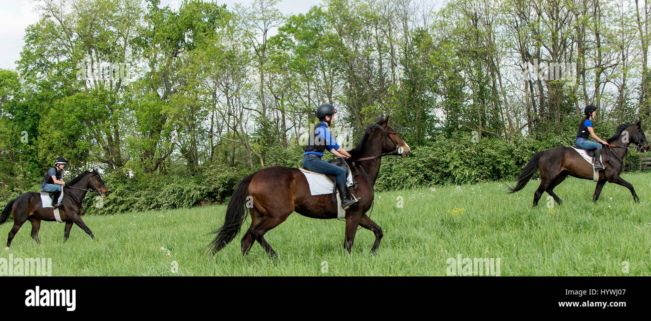 Lexington, Kentucky, USA. 25th Apr, 2017. Students in the jockey ...