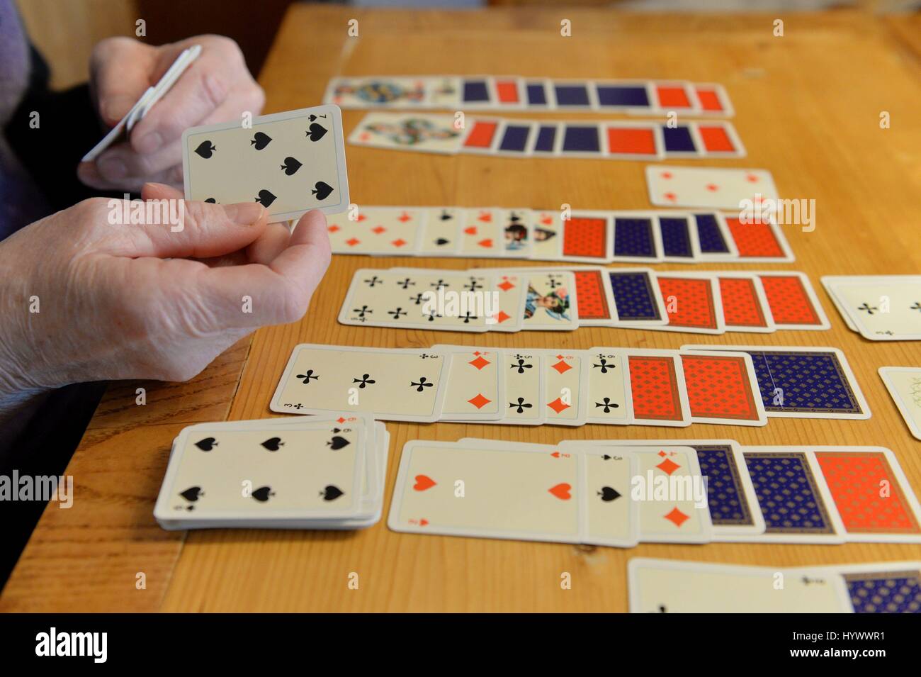 Woman playing solitaire card game hi-res stock photography and images ...