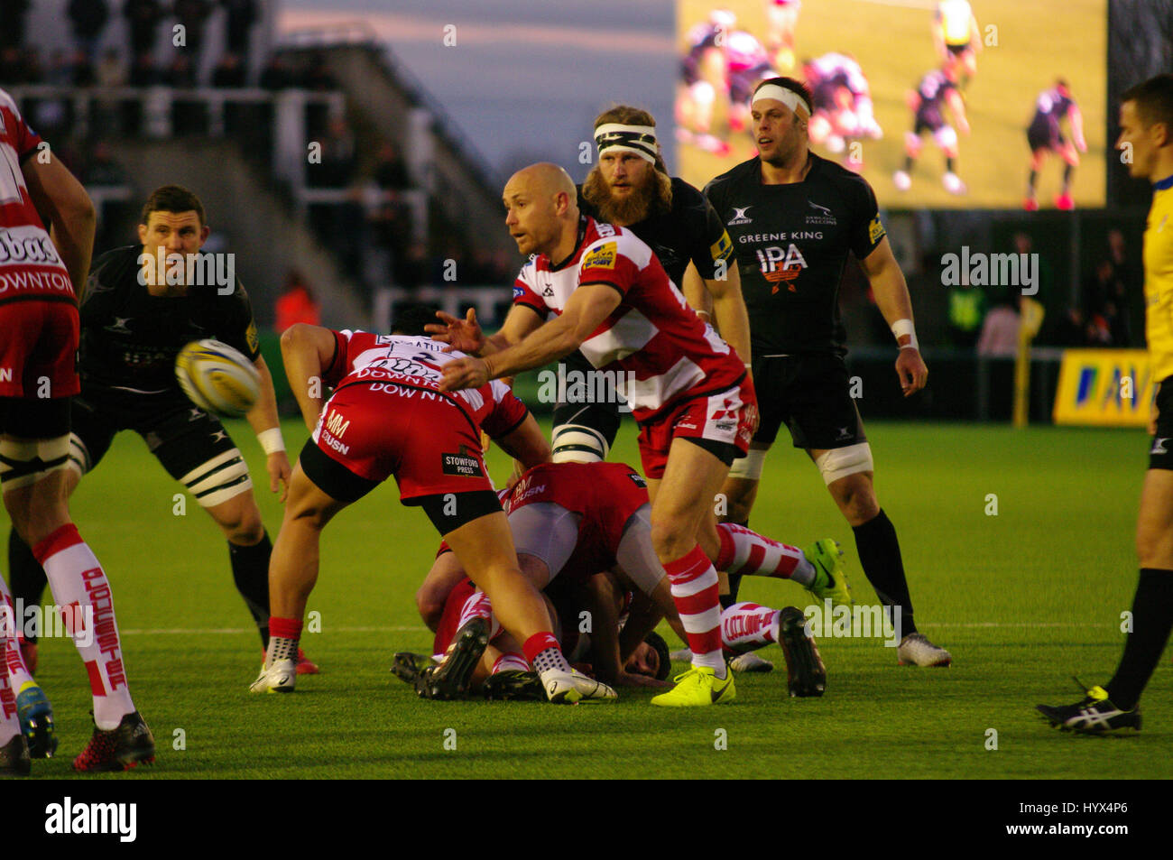 Captain of gloucester rugby hi-res stock photography and images - Alamy