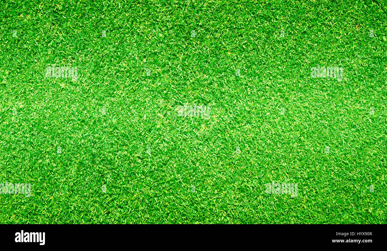 grass background Golf Courses green lawn pattern textured background ...