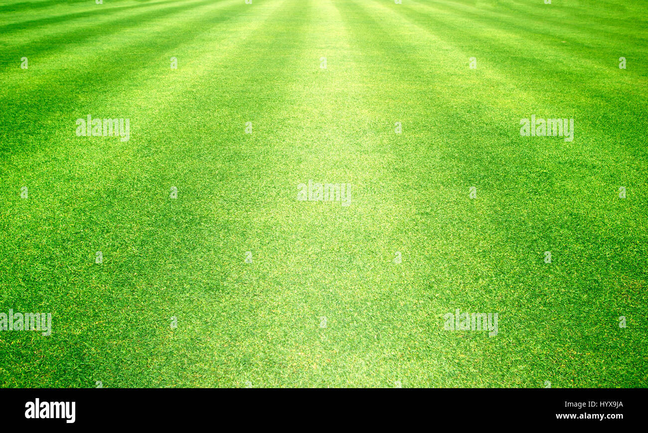 grass background Golf Courses green lawn pattern textured background ...