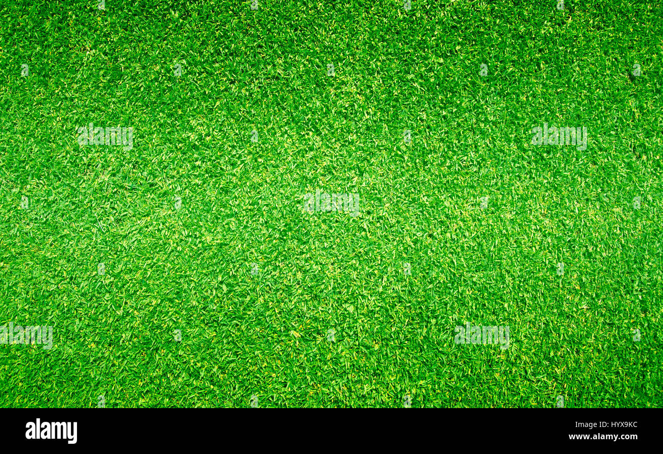 grass background Golf Courses green lawn pattern textured background ...