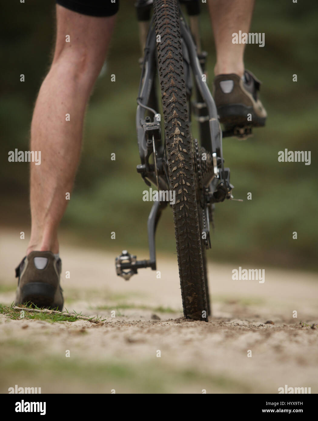 Rear view low angle man legs on mountain bike outdoors Stock Photo - Alamy