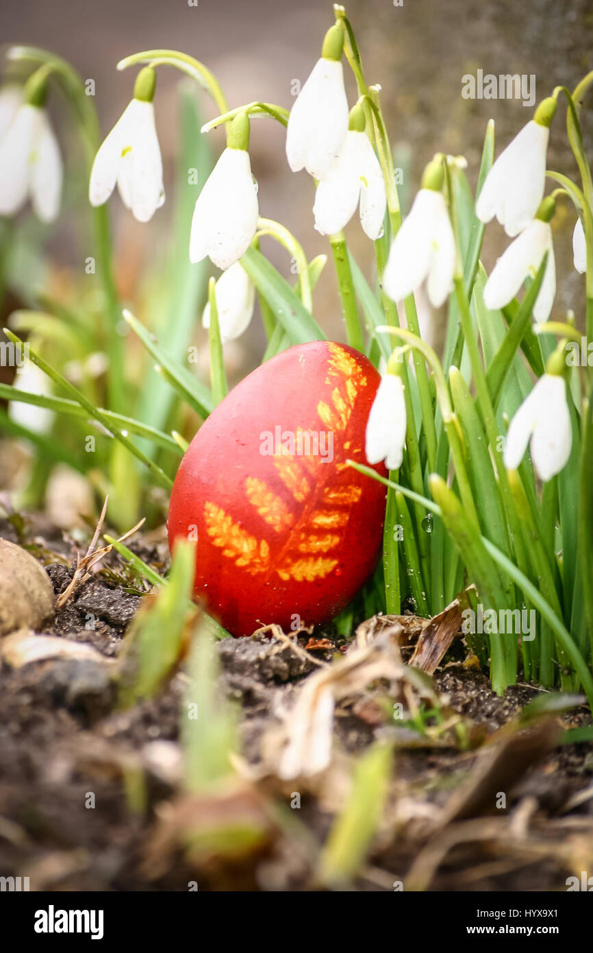 Beautiful red colored Easter eggs in the garden Stock Photo - Alamy