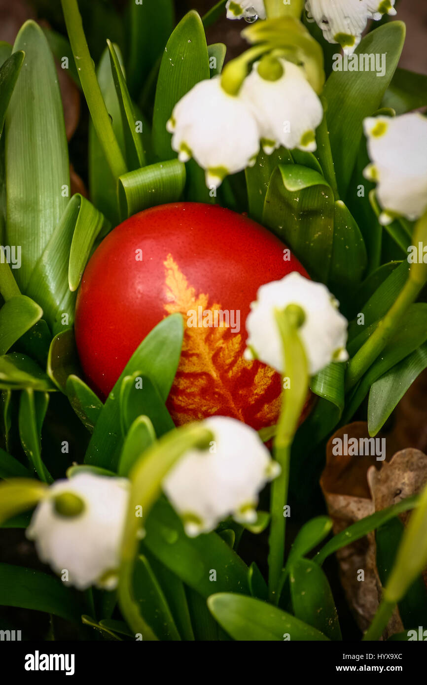 Beautiful red colored Easter eggs in the garden Stock Photo - Alamy