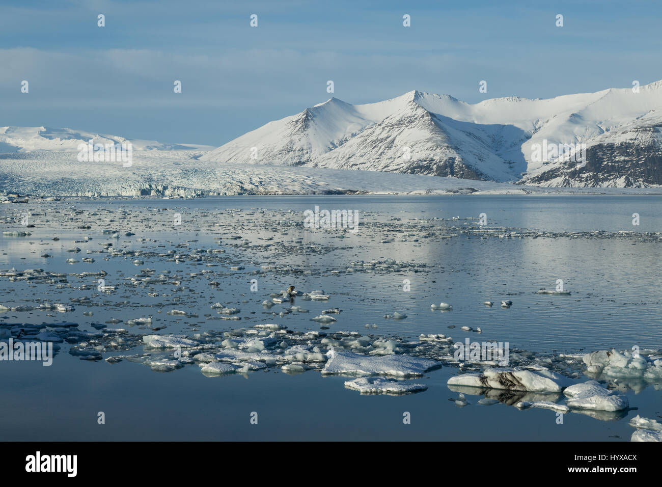 glacial ice, lagoon, and mountains, Iceland Stock Photo - Alamy