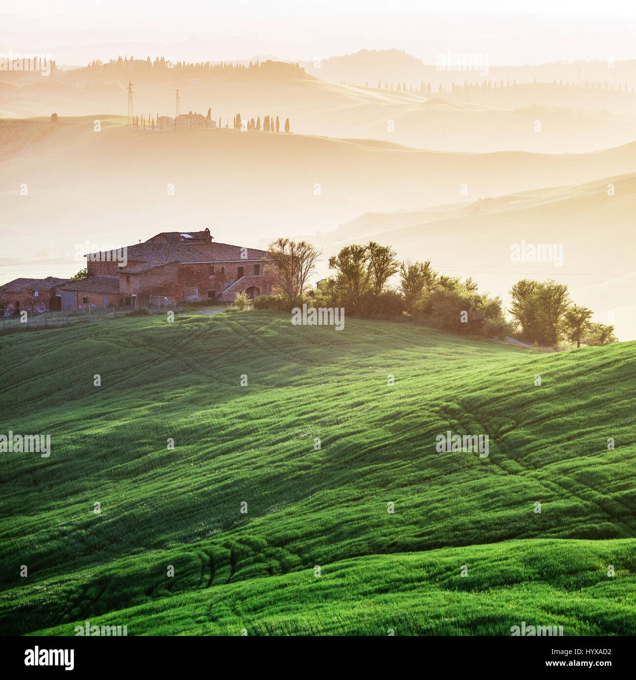 Crete Senesi, Tuscany, Italy Stock Photo - Alamy