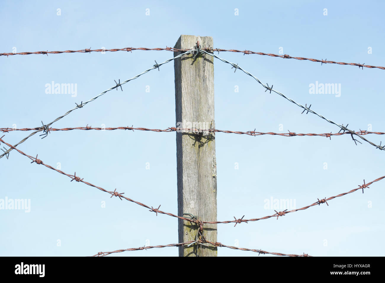 barbed wire fence Stock Photo - Alamy