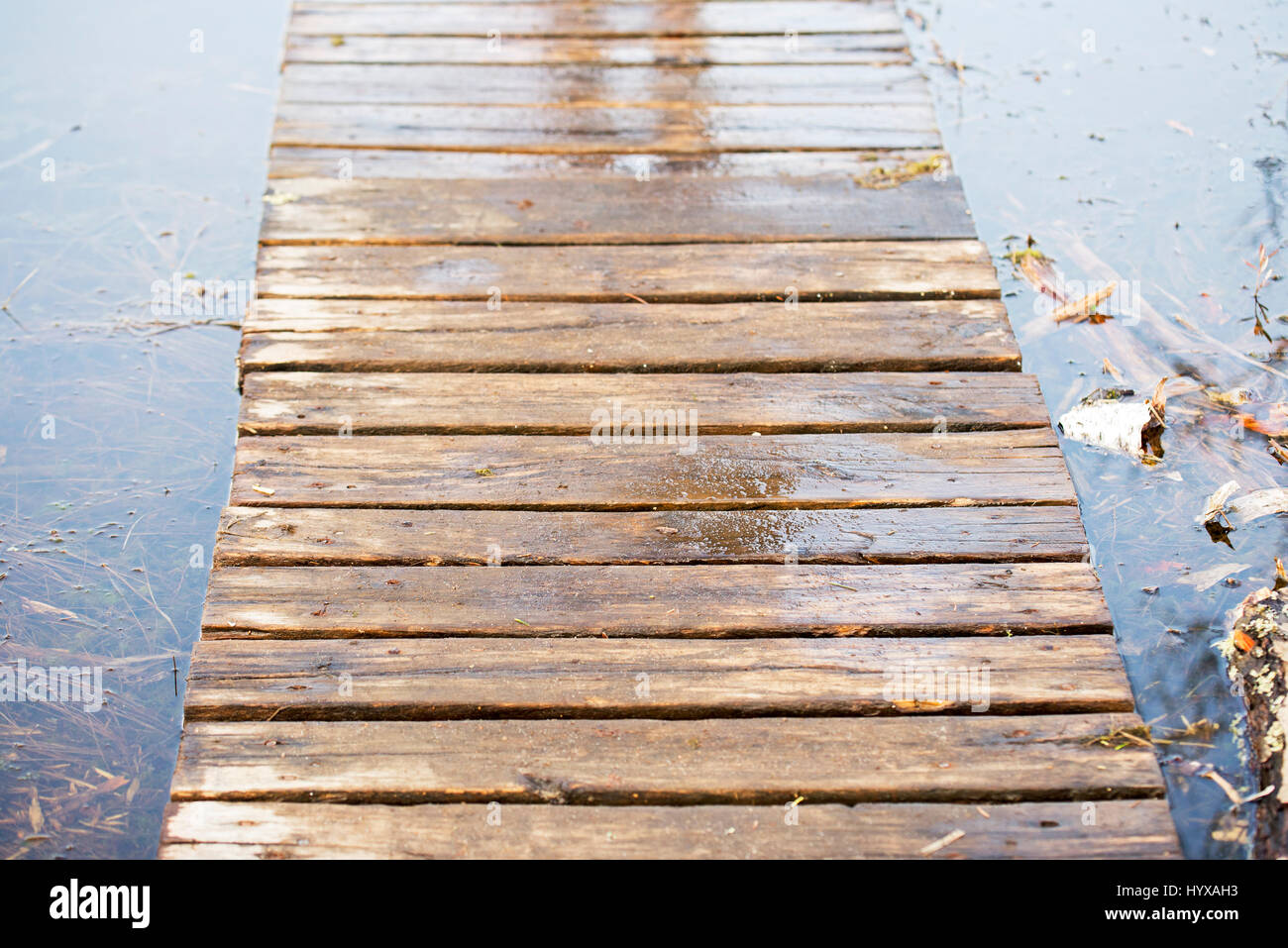 Wooden board walk on bog land Stock Photo - Alamy
