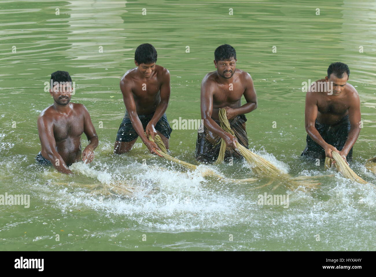 Farmer washing jute fibres in hi-res stock photography and images - Alamy