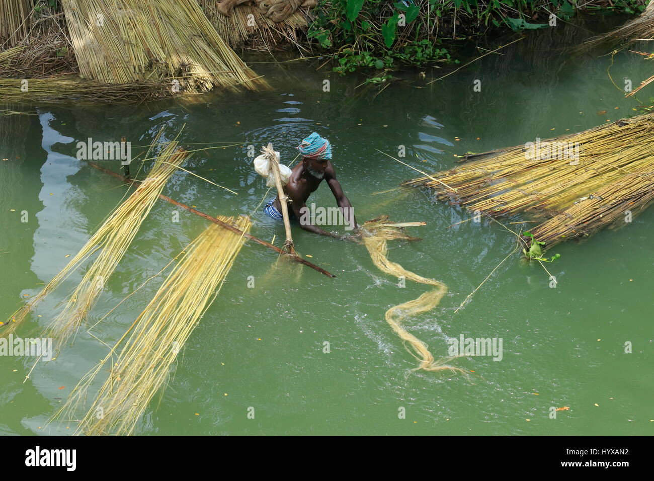 Jute washing hi-res stock photography and images - Alamy