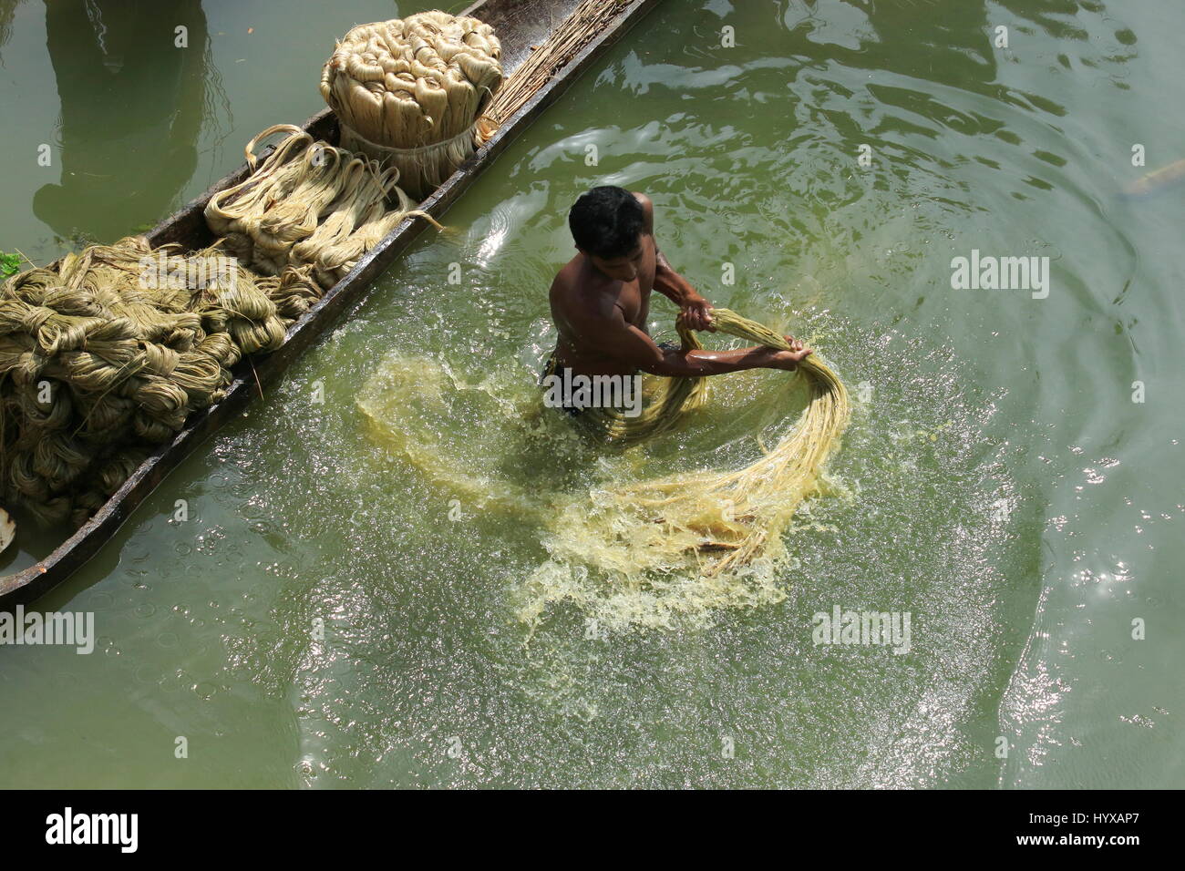 Farmer washing jute fibres in hi-res stock photography and images - Alamy