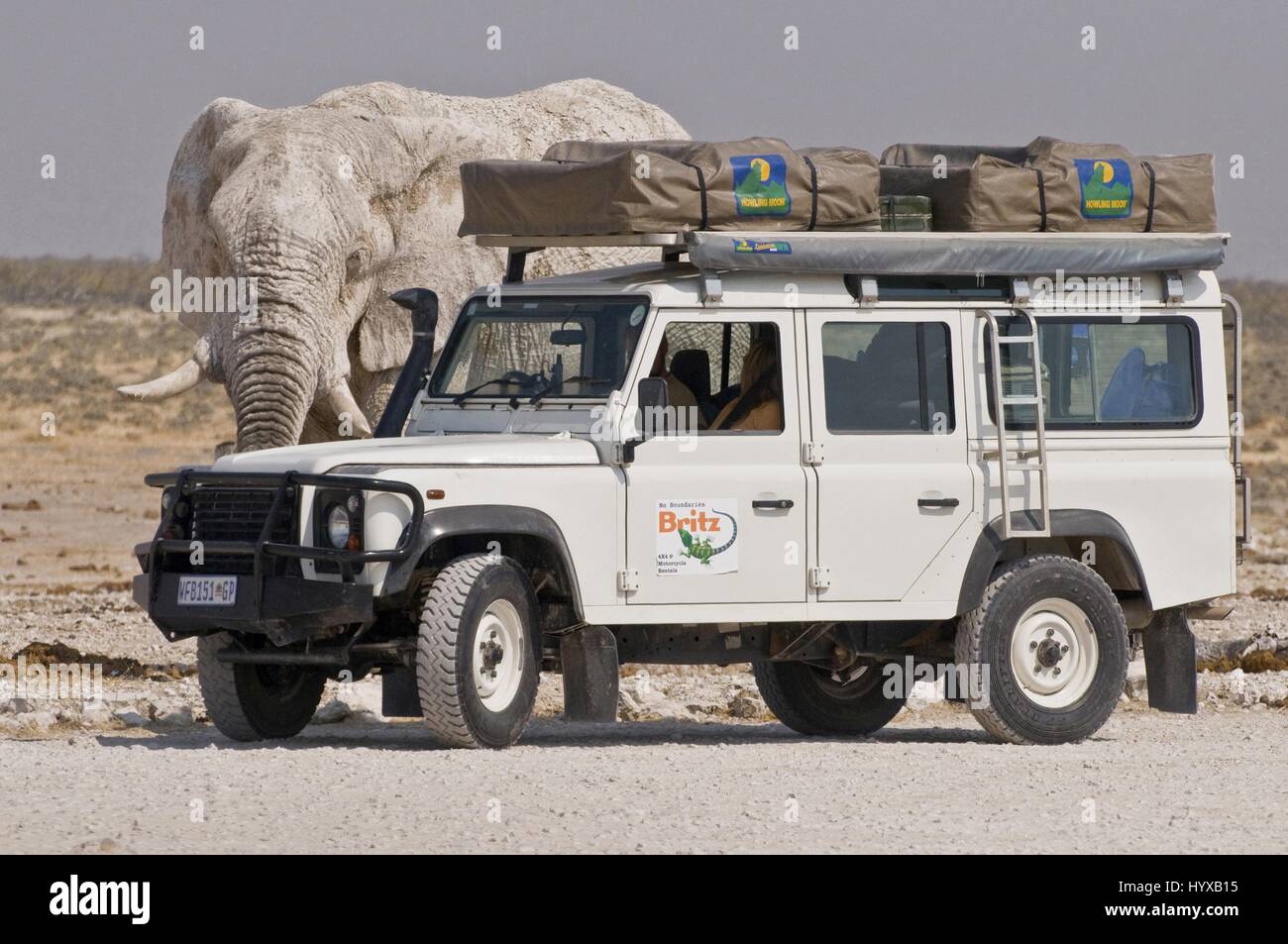 Etosha national park and jeep hi-res stock photography and images - Alamy