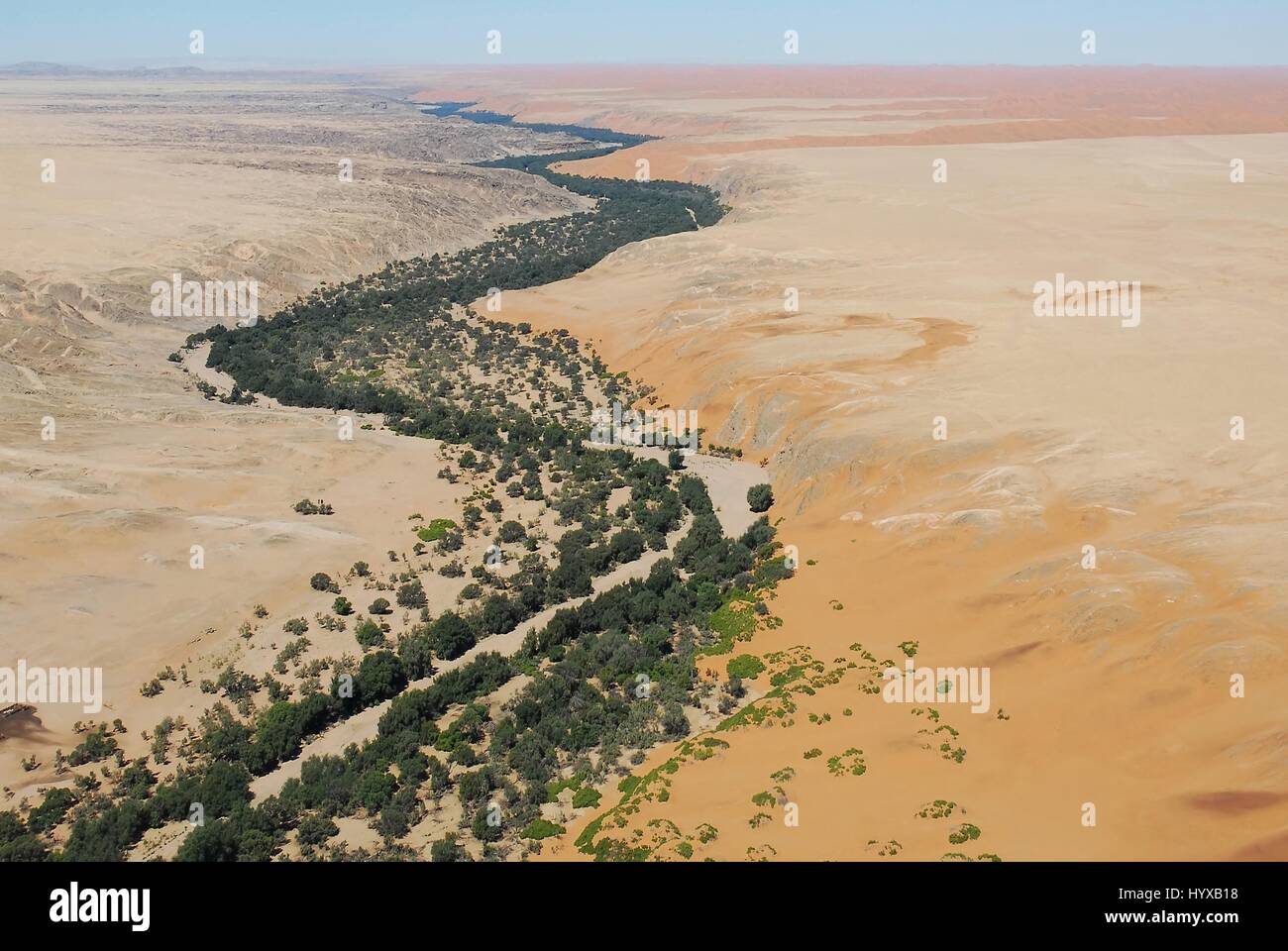 Namib desert images hi-res stock photography and images - Alamy