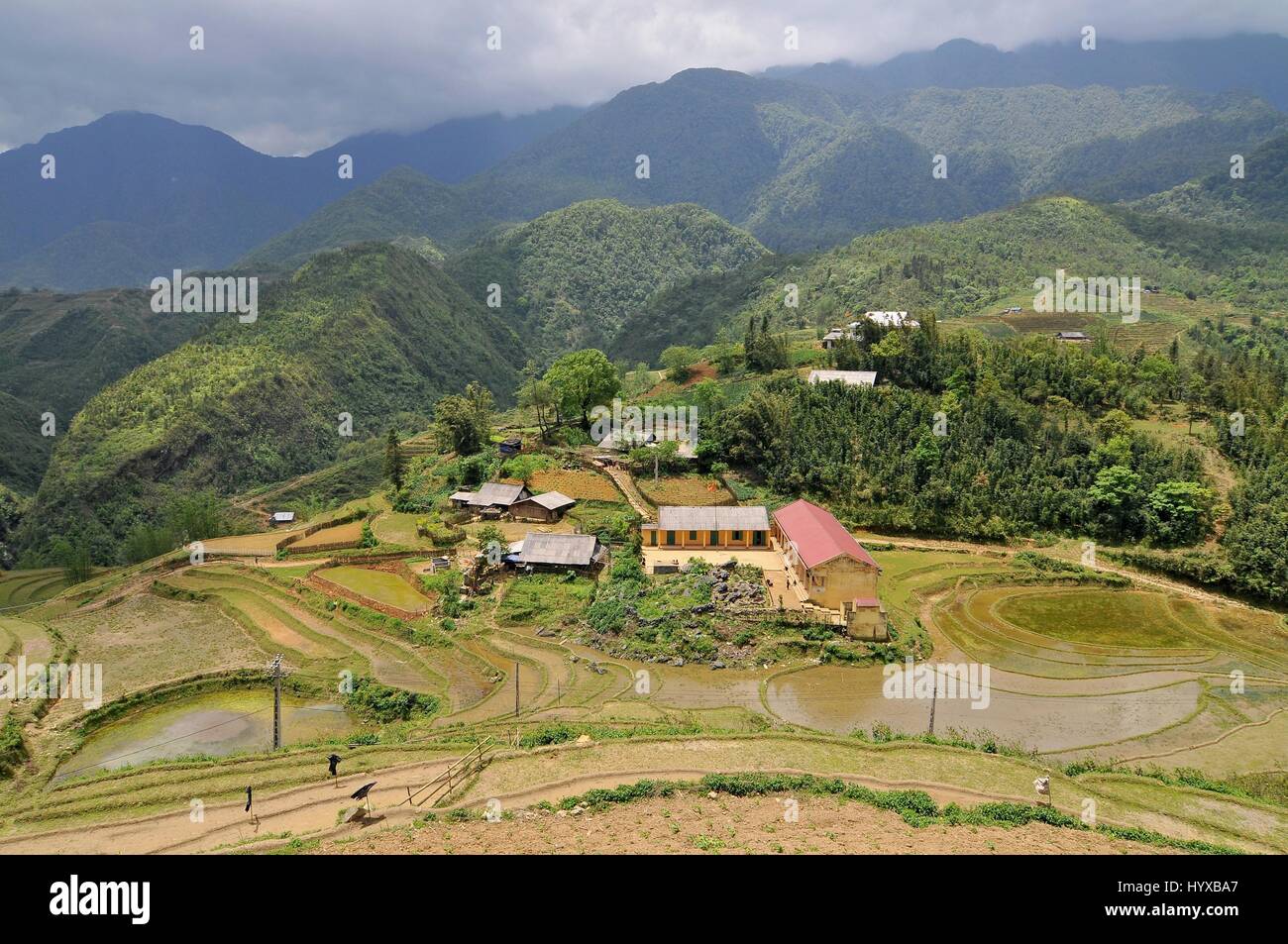 Vietnam, Sapa, Rice Terraces of Sapa Vietnam Stock Photo - Alamy
