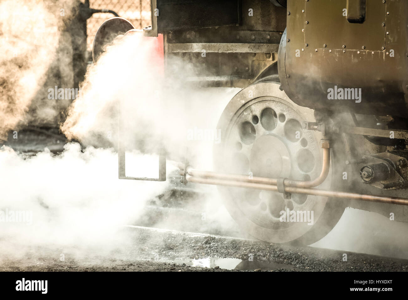 cloud of steam from a vintage locomotive Stock Photo - Alamy