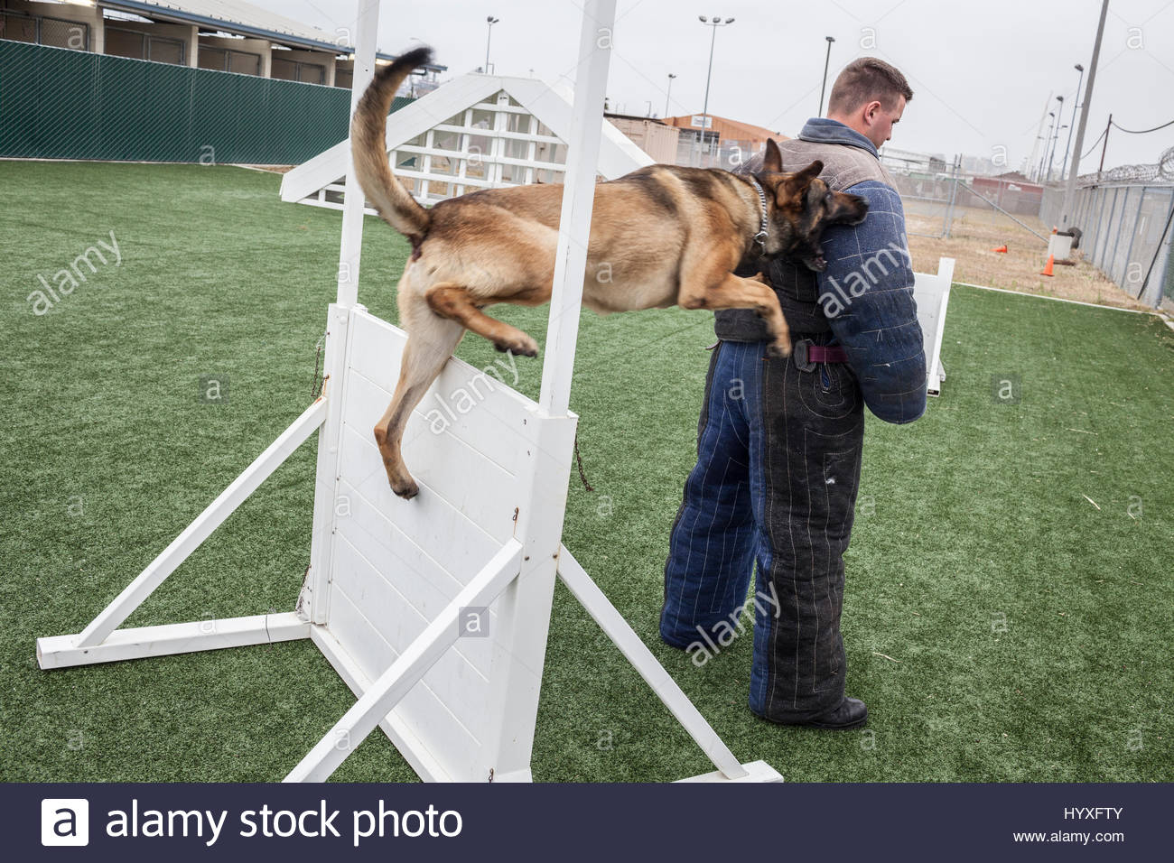 Police Officer Dog Usa High Resolution Stock Photography and Images - Alamy