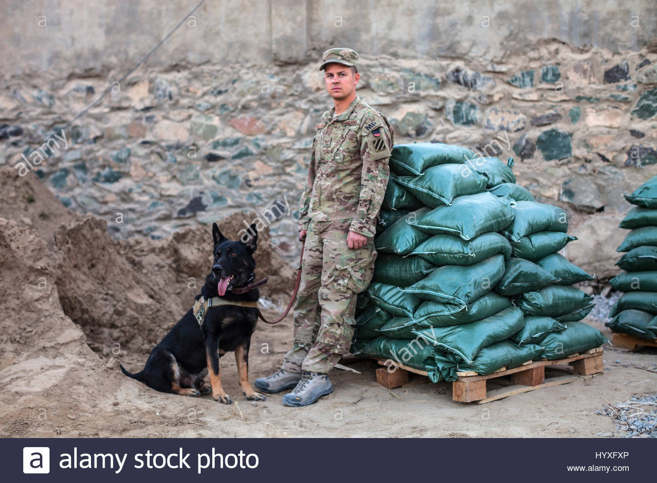 War Dog Stock Photos & War Dog Stock Images - Alamy