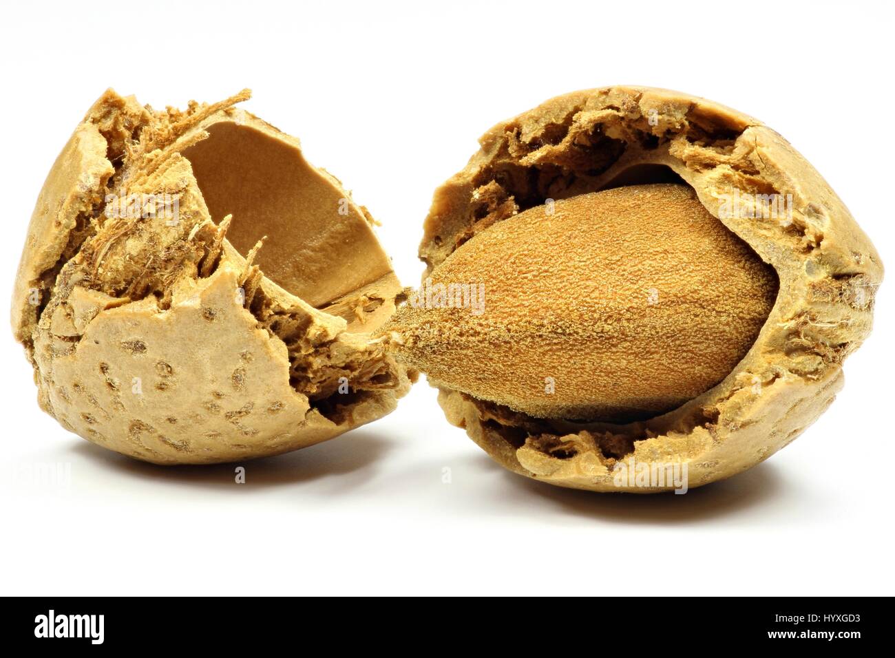 cracked almond isolated on white background Stock Photo - Alamy