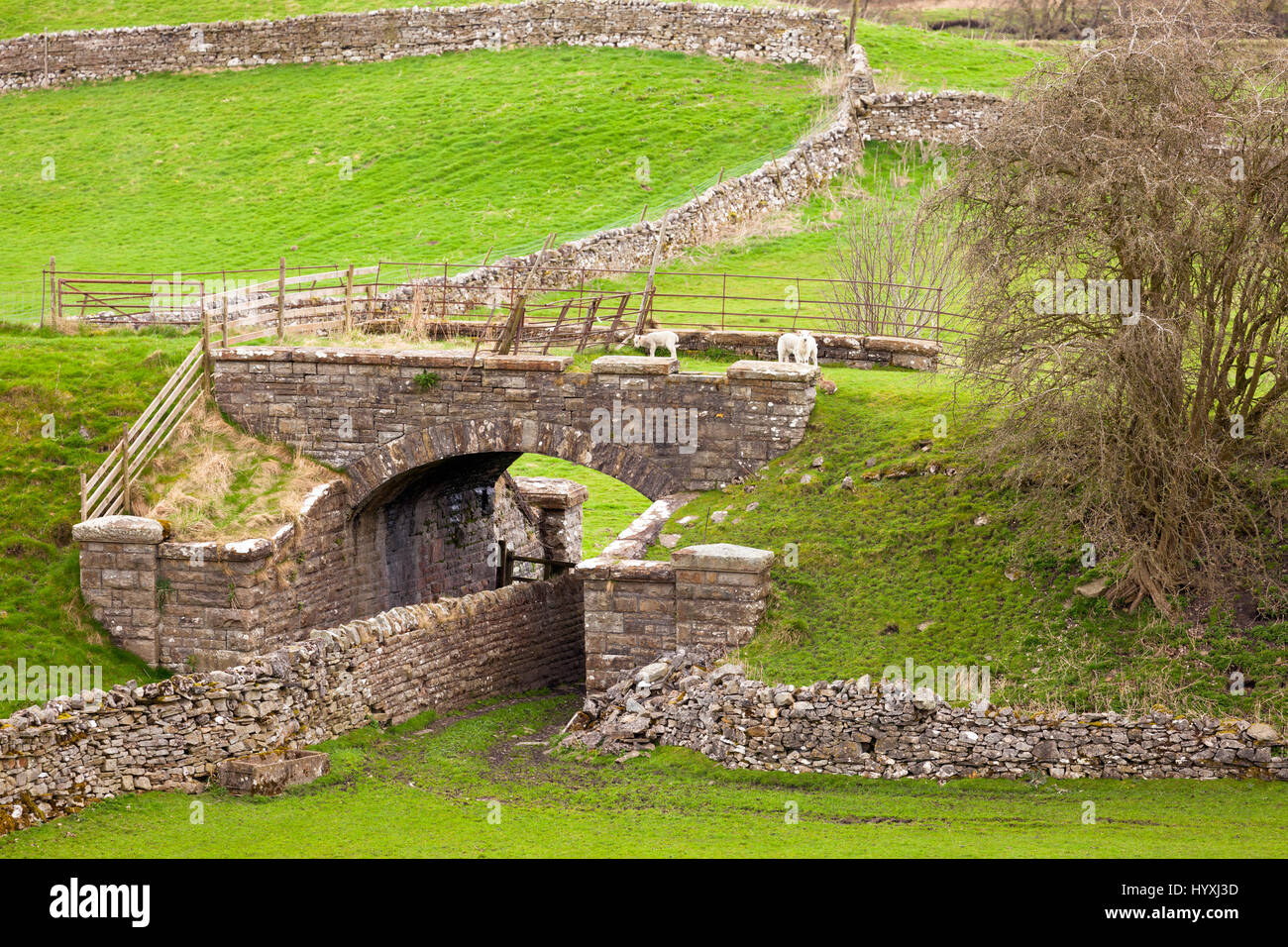 Stone bridge yorkshire dales hi-res stock photography and images - Alamy