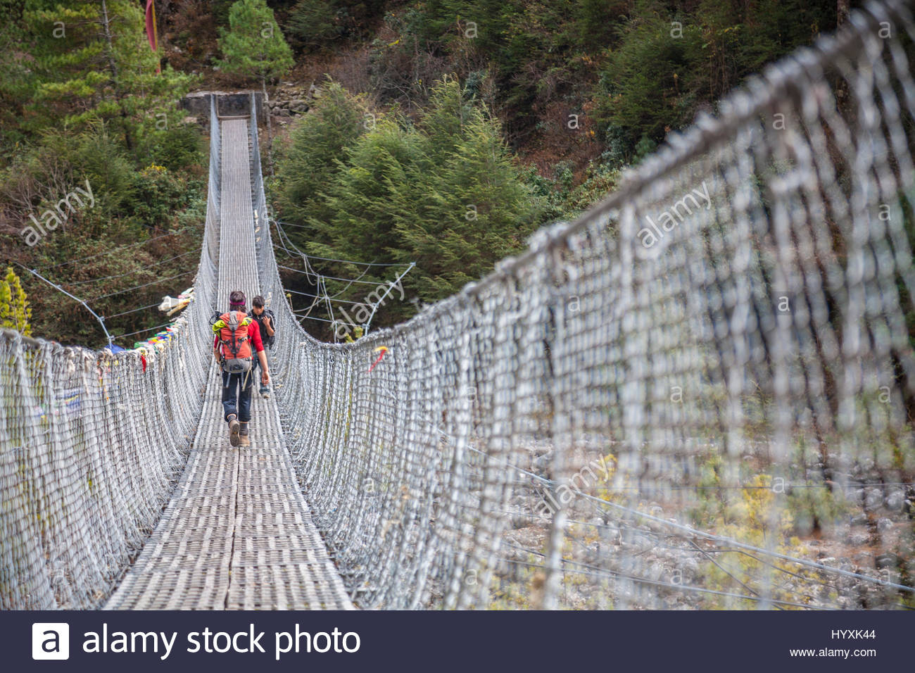Wire Mesh Stock Photos & Wire Mesh Stock Images - Alamy