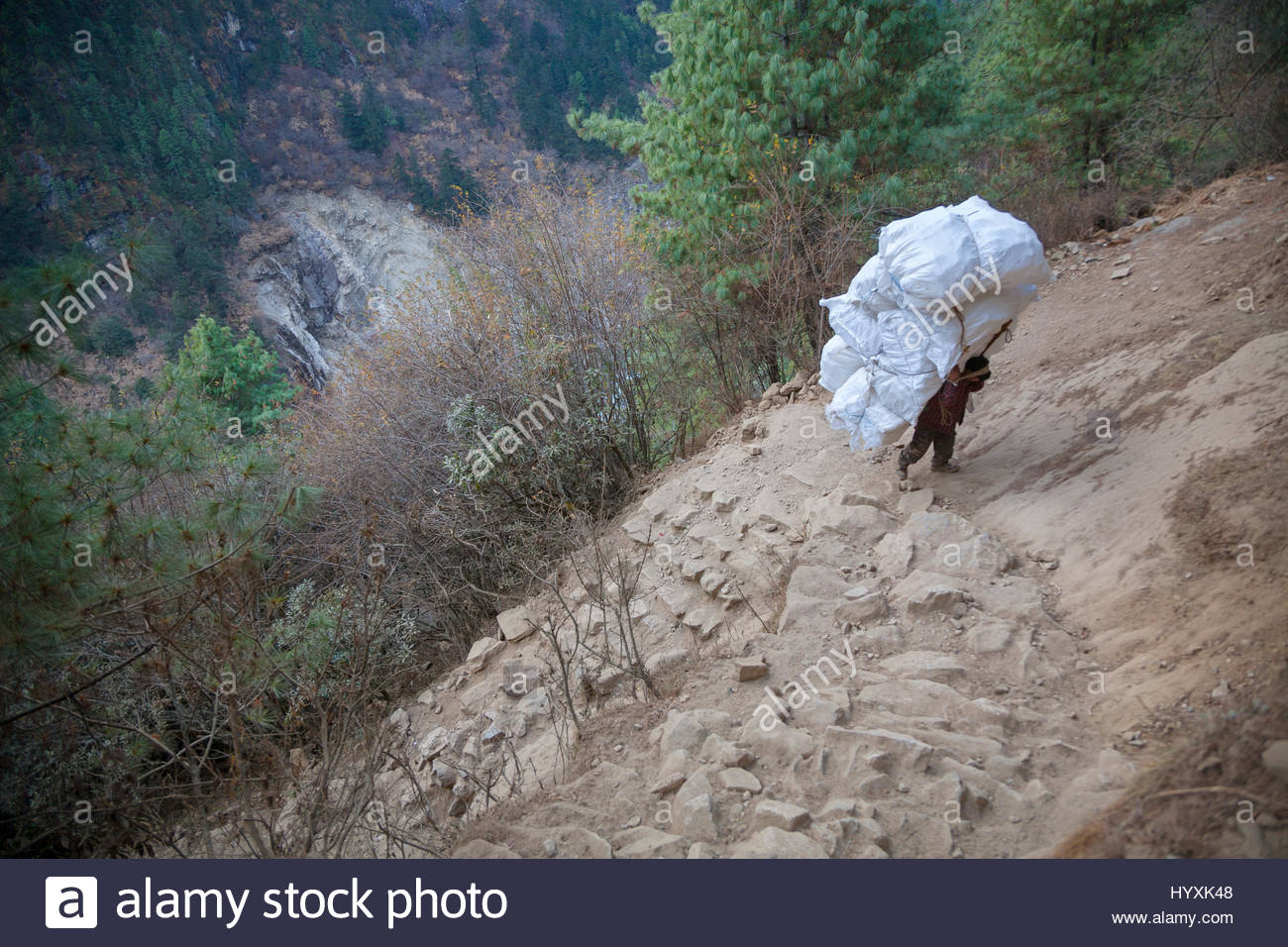 Man Carrying Load Stock Photos & Man Carrying Load Stock Images - Alamy