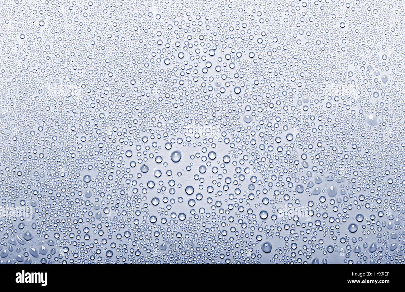 Background of the water dew Stock Photo - Alamy