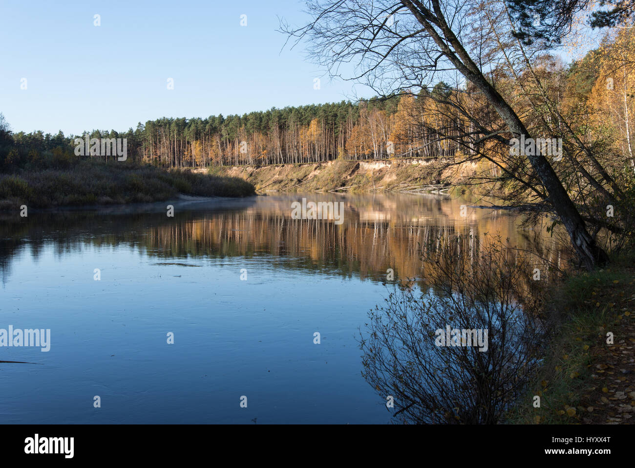 scenic autumn colored river in country with trees and reflections Stock ...