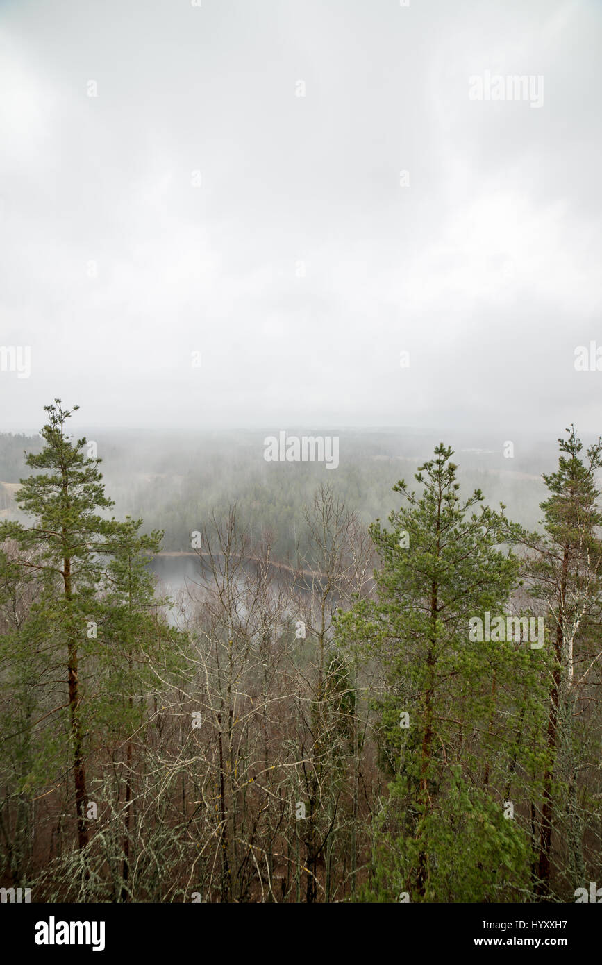 panoramic view of misty rain forest. far horizon Stock Photo - Alamy