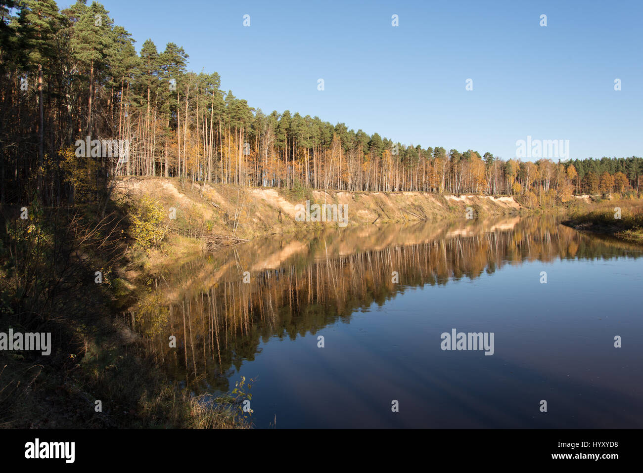 scenic autumn colored river in country with trees and reflections Stock ...