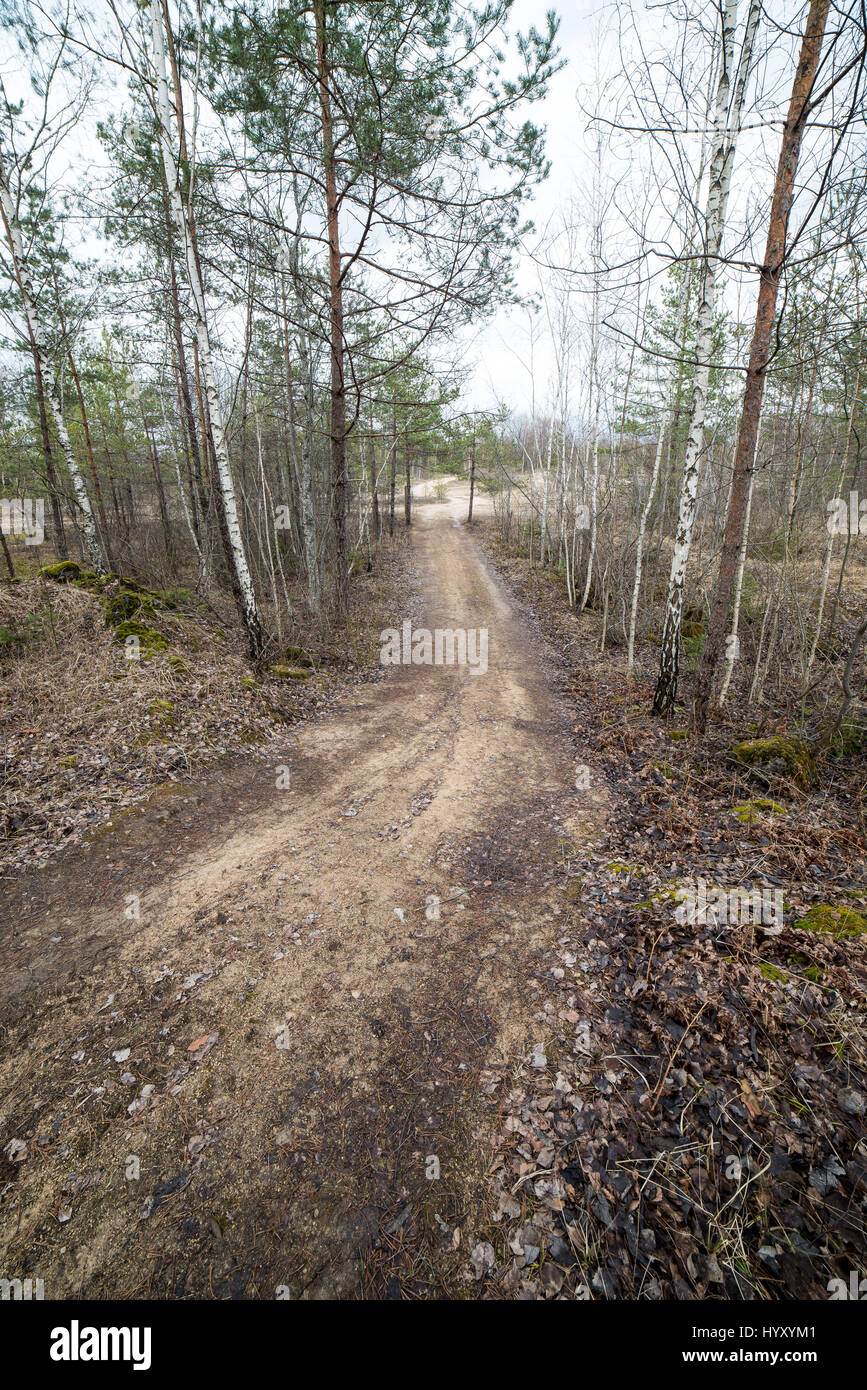 empty country road in spring with perspective and shadows Stock Photo ...