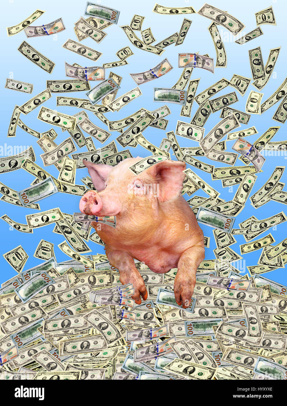 funny pig on the big heap of dollars flying from above Stock Photo - Alamy