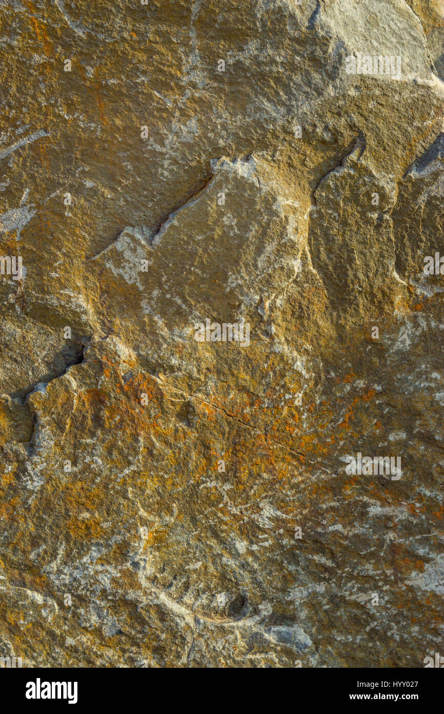 Abstract texture of natural rustic stone for backgrounds Stock Photo ...