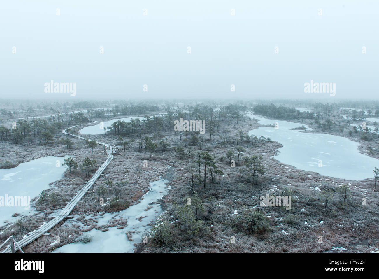 wooden boardwalk in frosty winter bog landscape with frozen nature ...