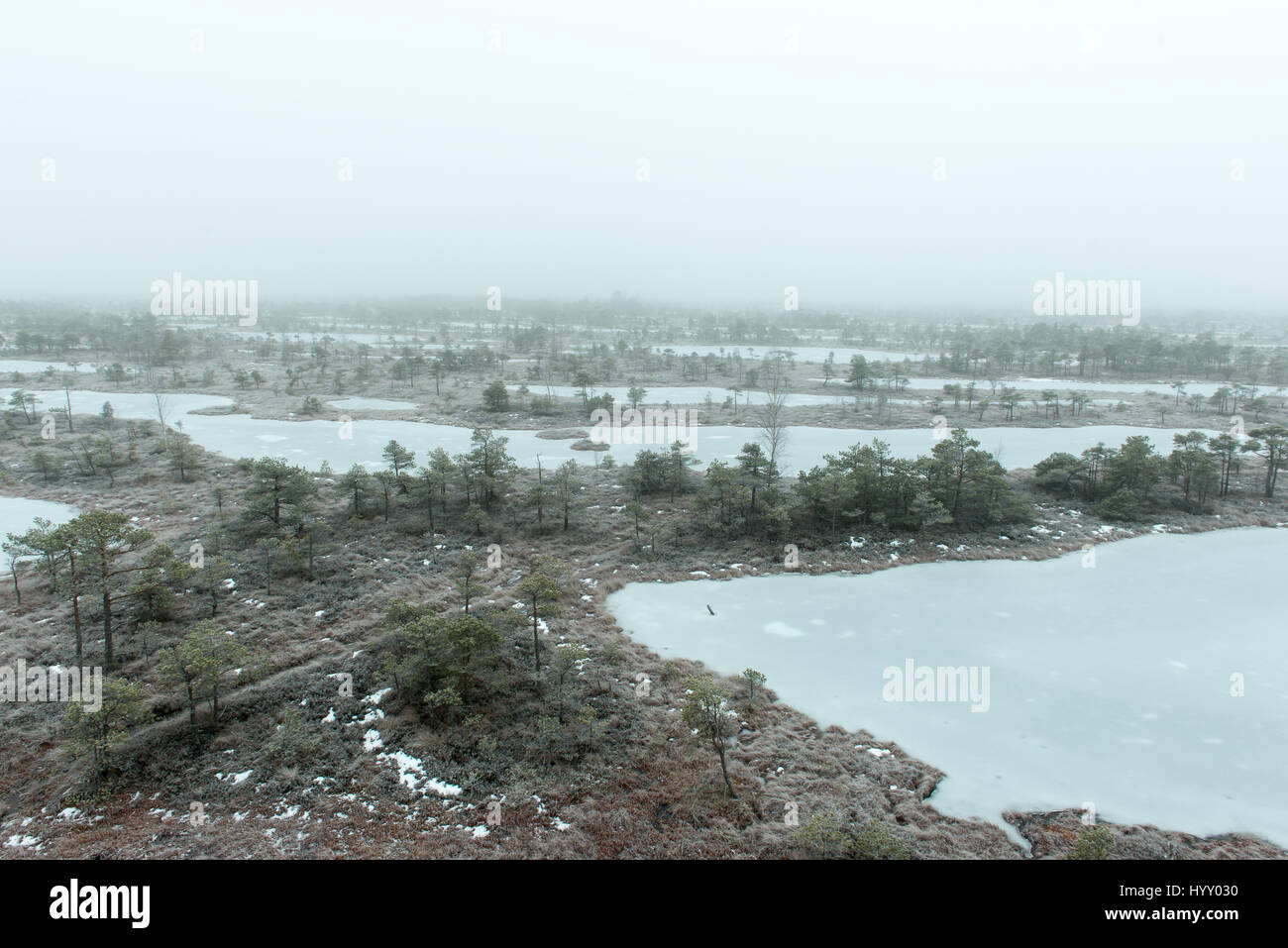snowy landscape in frosty winter bog in country side Stock Photo - Alamy
