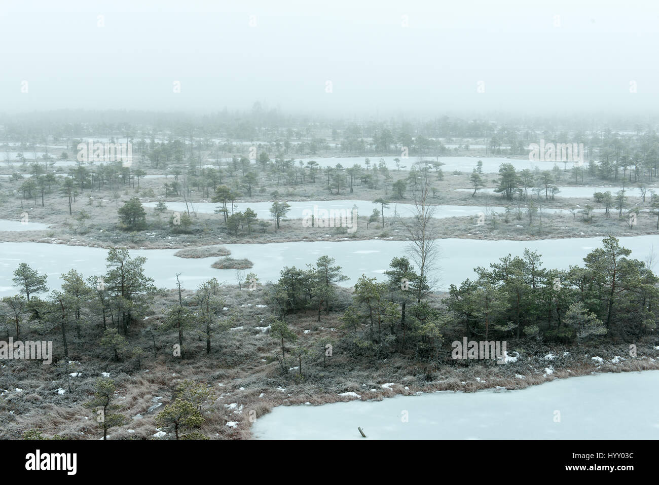 snowy landscape in frosty winter bog in country side Stock Photo - Alamy